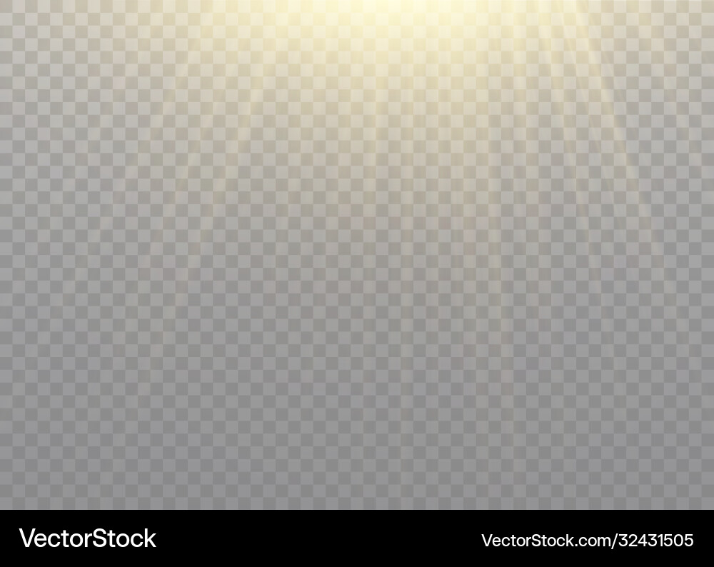 Flash effect sunlight Royalty Free Vector Image