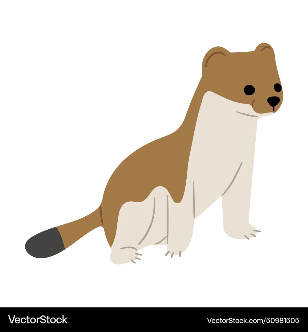 Stoatsermine single 19 Royalty Free Vector Image