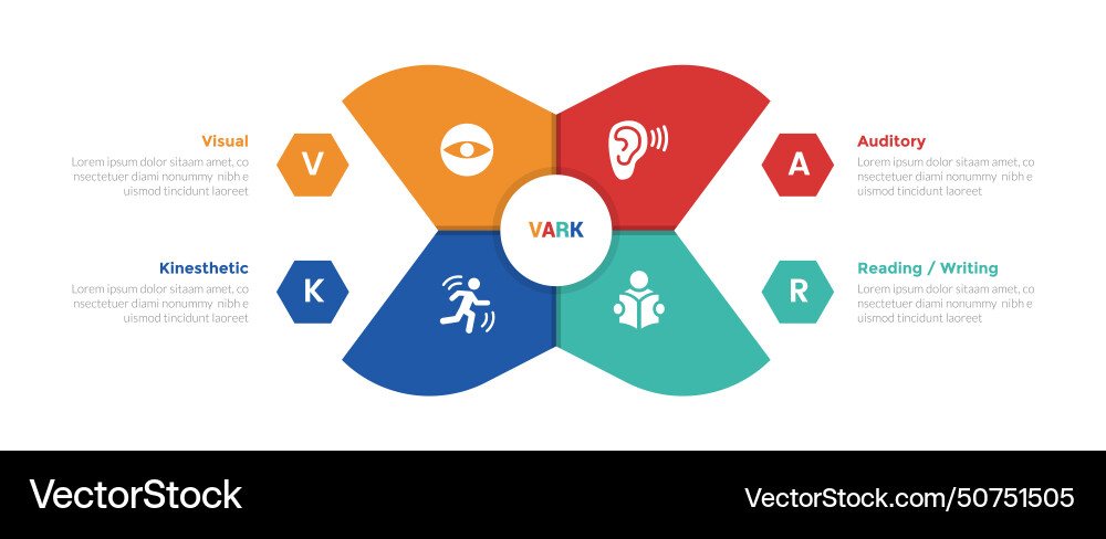 Vark learning styles infographics template Vector Image