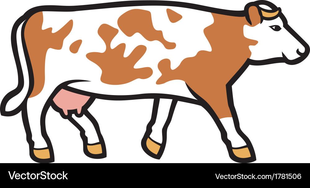 Cow Royalty Free Vector Image - VectorStock
