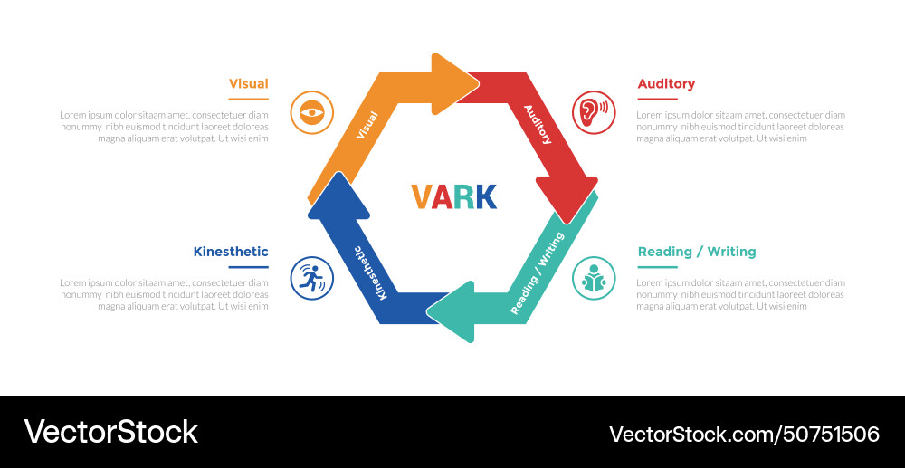 Vark learning styles infographics template Vector Image