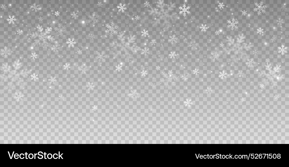 Falling snowflakes with blurry snowy particles Vector Image