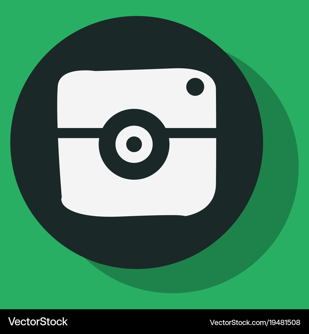 Flat web icon of modern lineart camera digital Vector Image