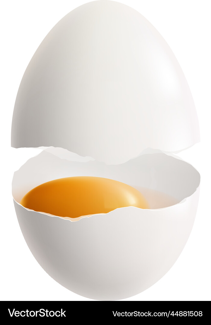 Half cracked egg composition Royalty Free Vector Image