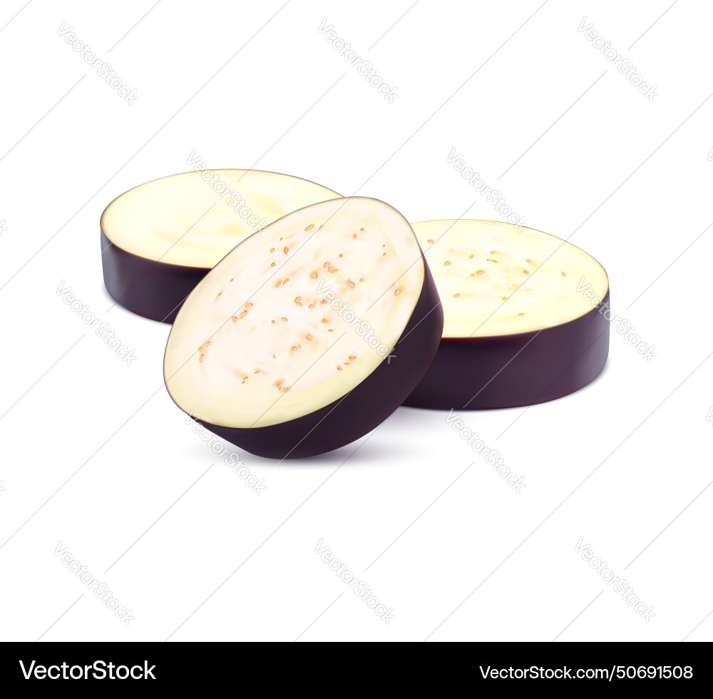 Realistic raw isolated eggplant vegetable rings Vector Image