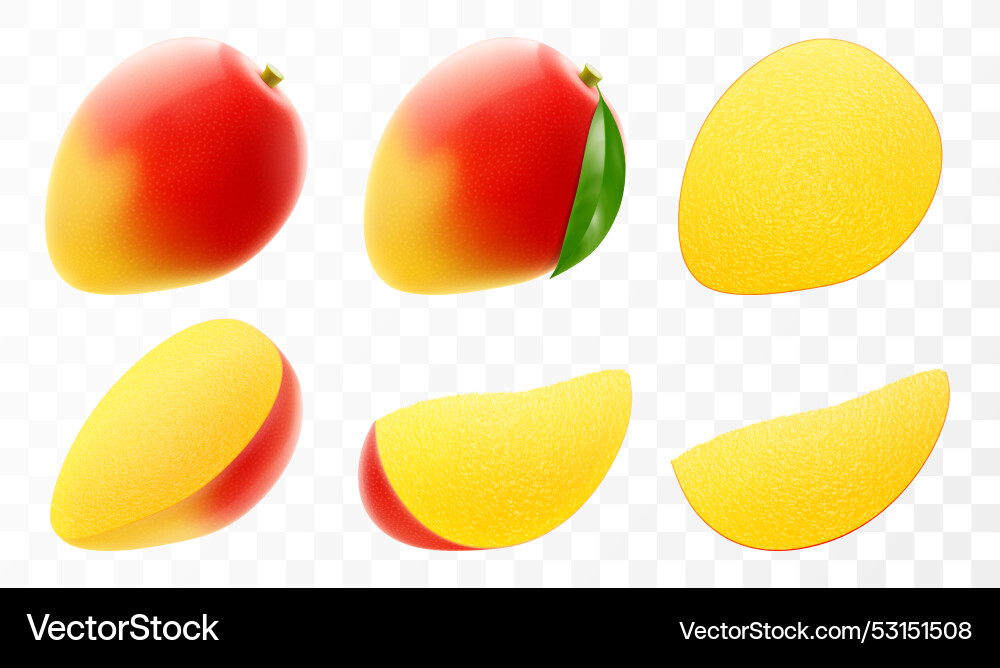 Set of fresh mango fruit whole and slice Vector Image