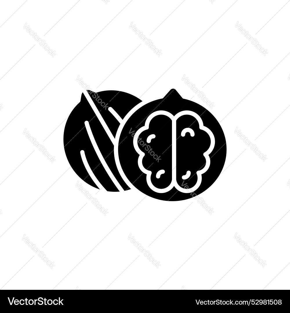 Walnut icon set nut shell food symbol in a black Vector Image