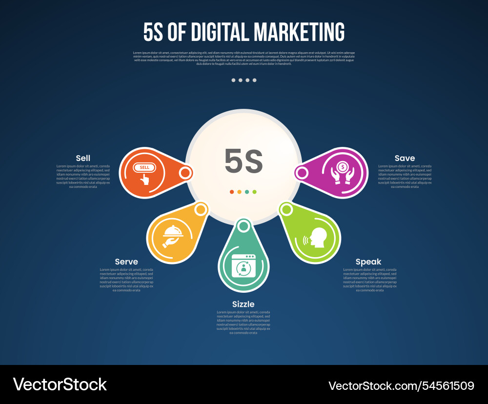 5s digital marketing infographic template with Vector Image