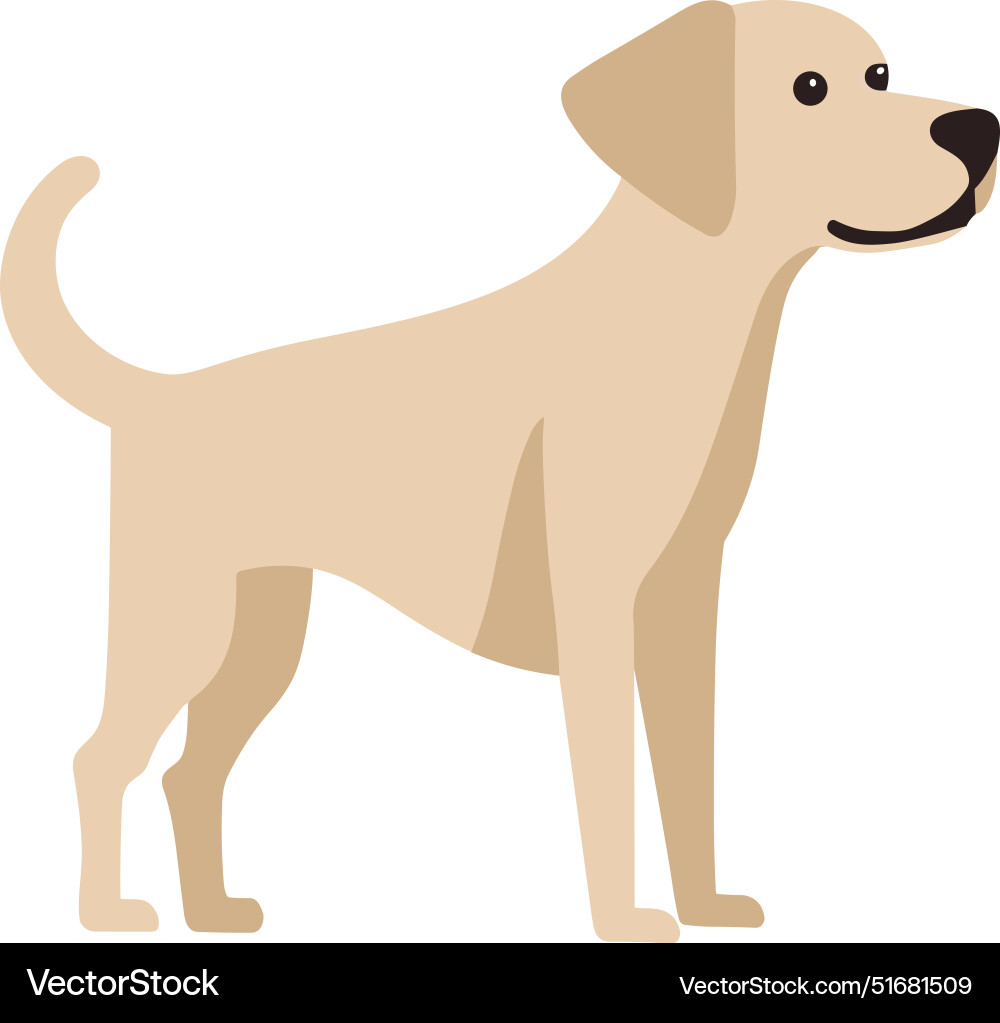A labrador retriever is depicted Royalty Free Vector Image