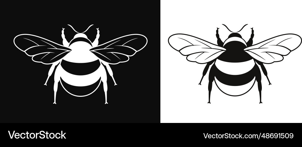 Bumblebee Royalty Free Vector Image - VectorStock