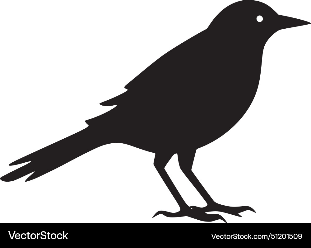 Crow - black and white isolated icon Royalty Free Vector