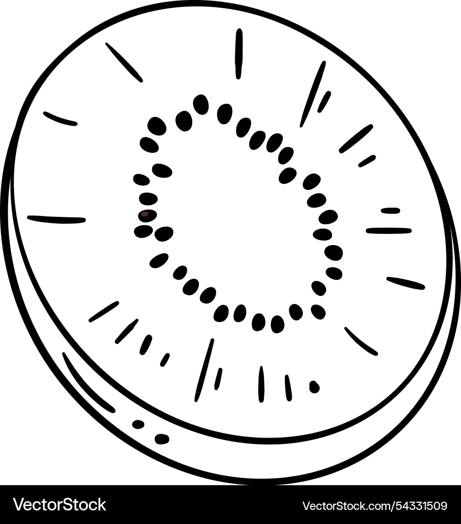 Kiwi fruit outline isolated Royalty Free Vector Image