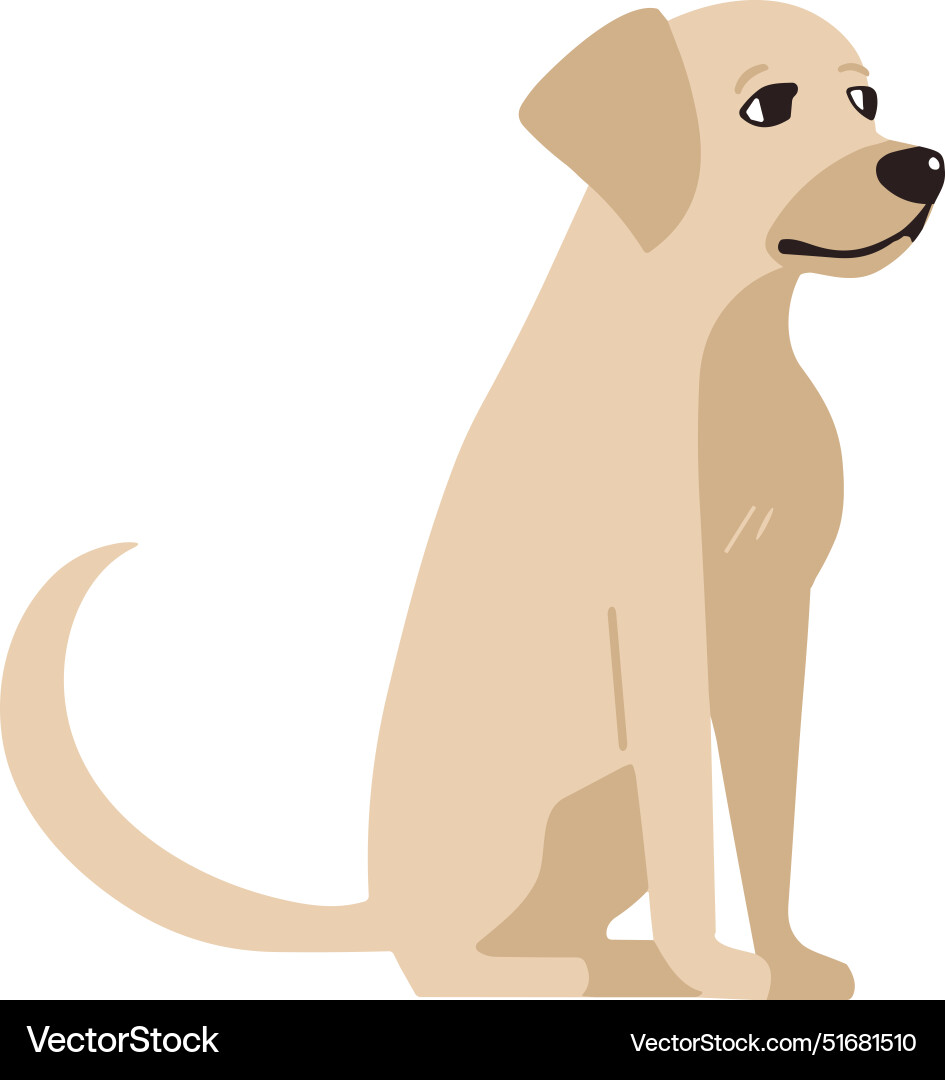 Captures a yellow labrador Royalty Free Vector Image