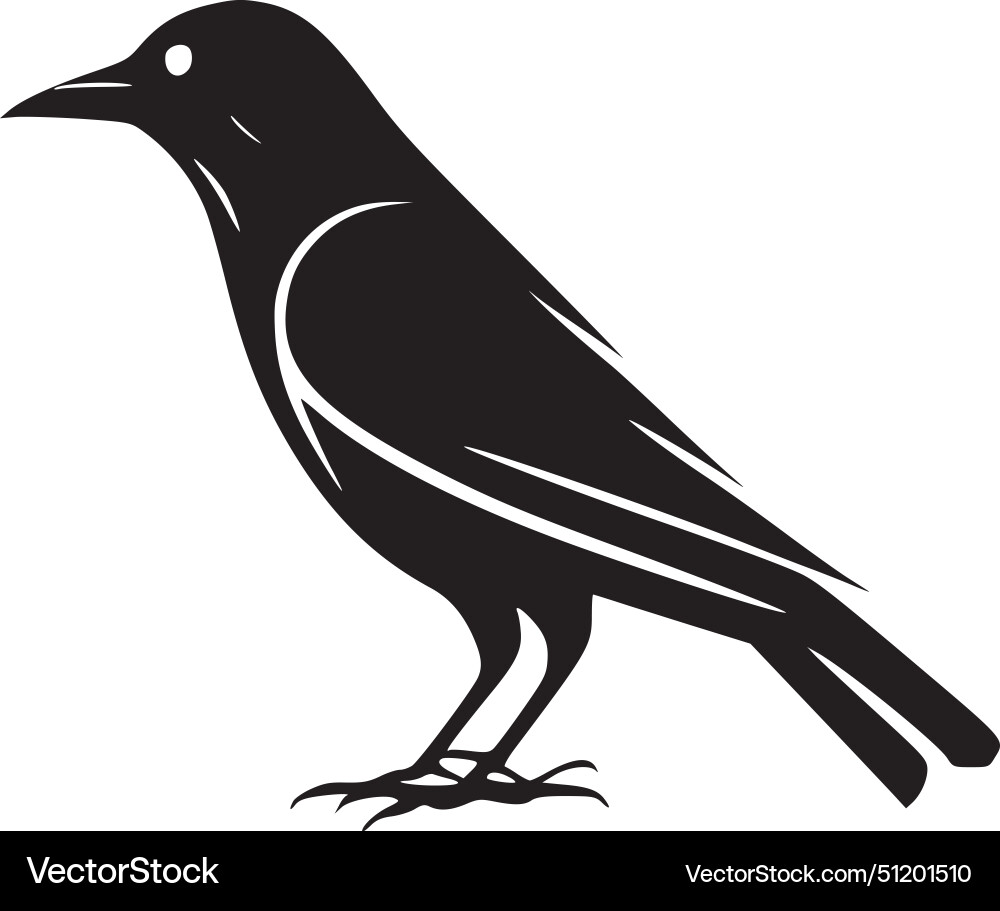 Crow - black and white Royalty Free Vector Image