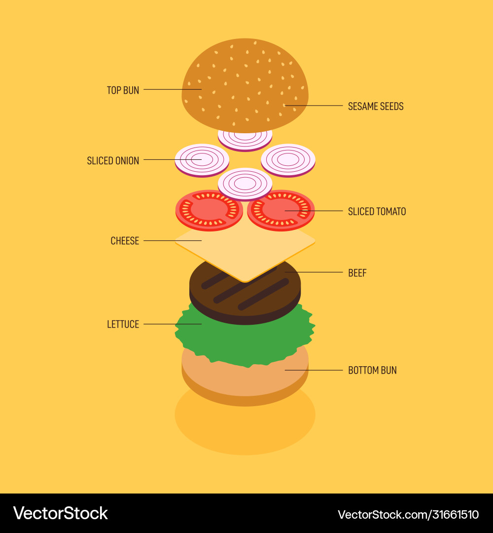 Hamburger ingredients infographic isometric flat Vector Image