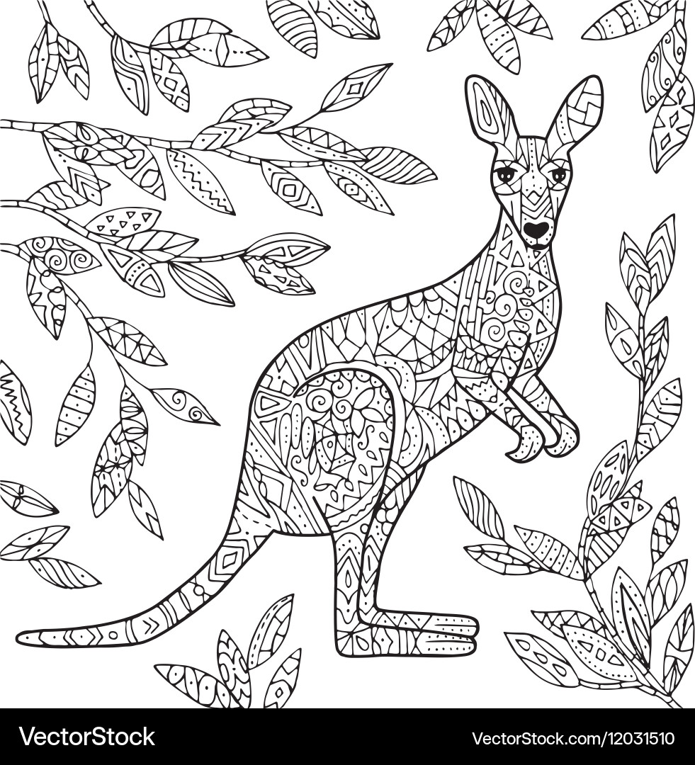 Kangaroo Royalty Free Vector Image - VectorStock