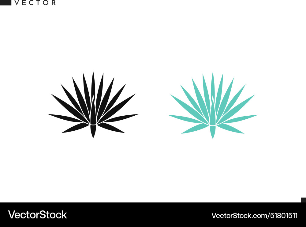 Abstract agave Royalty Free Vector Image - VectorStock