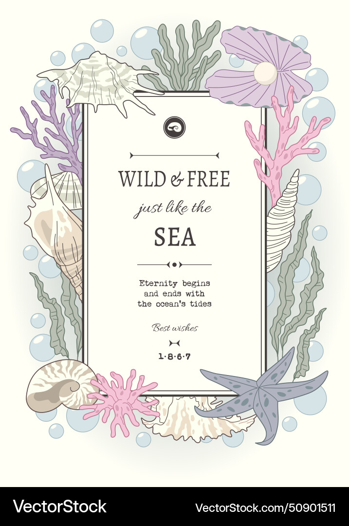 Seashell gentle frame underwater tropical shells Vector Image