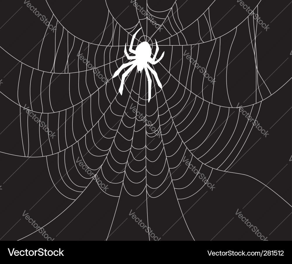 Spider and web Royalty Free Vector Image - VectorStock