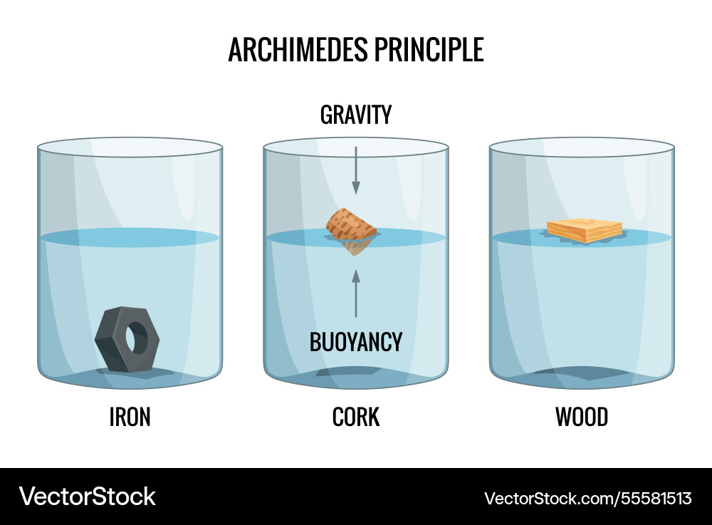 Archimedes principle experiment with water Vector Image