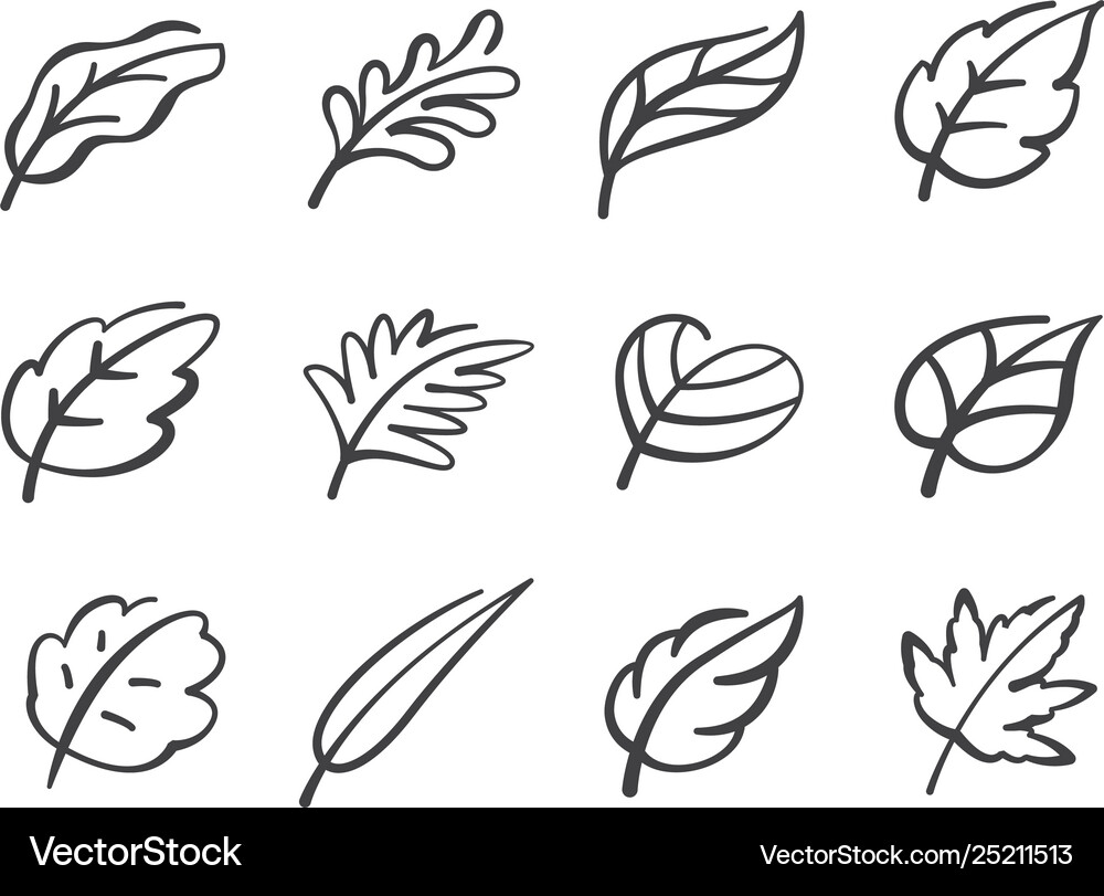 Leaves icon set Royalty Free Vector Image - VectorStock
