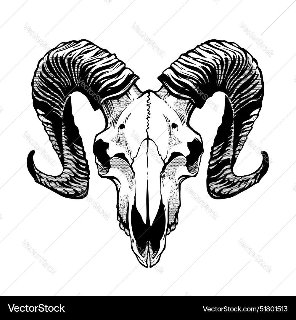 Stylized Goat Skull Art Royalty Free Vector Image