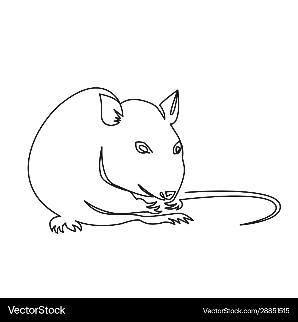 how to draw a chinese rat