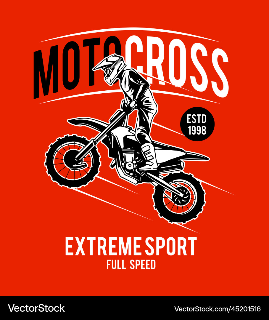 Motorcycle Artwork - Racing Royalty Free Vector Image