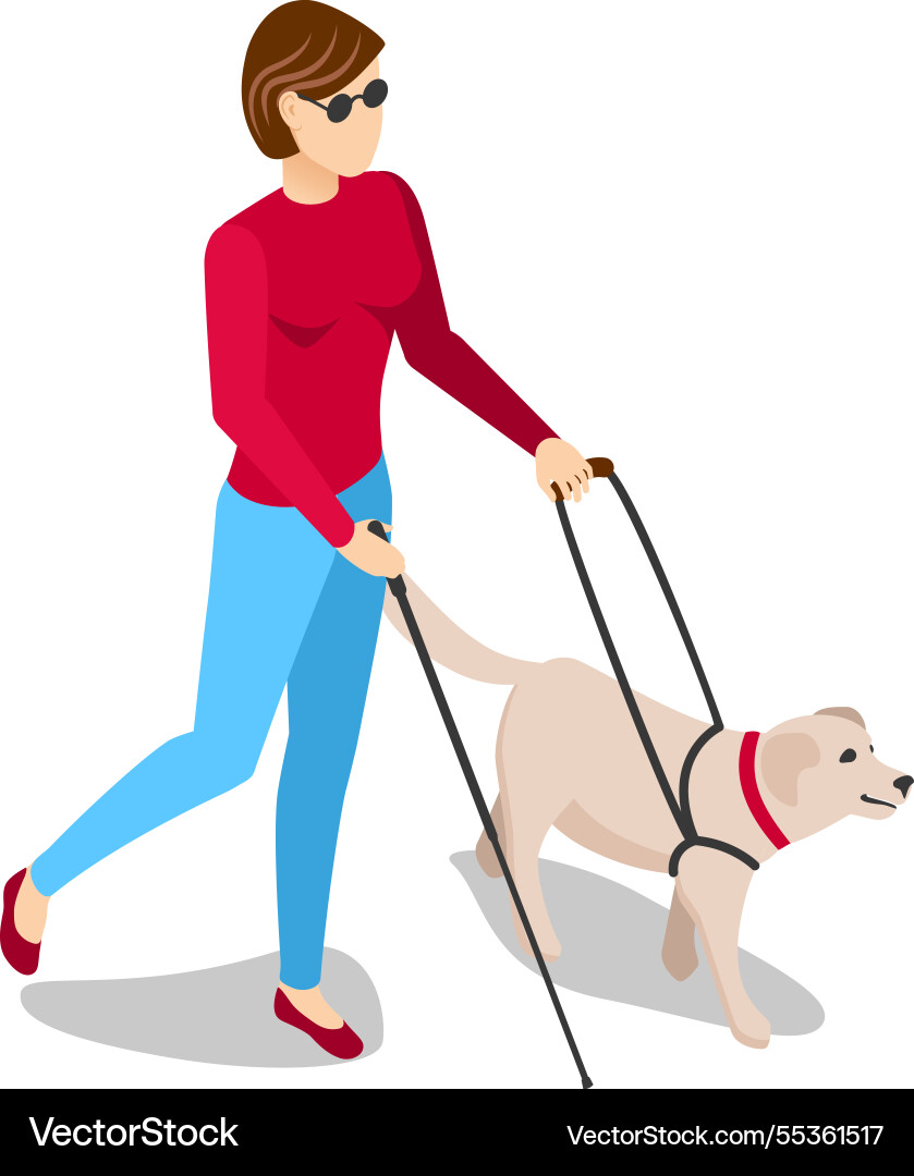Visually impaired woman walking outdoors guided Vector Image