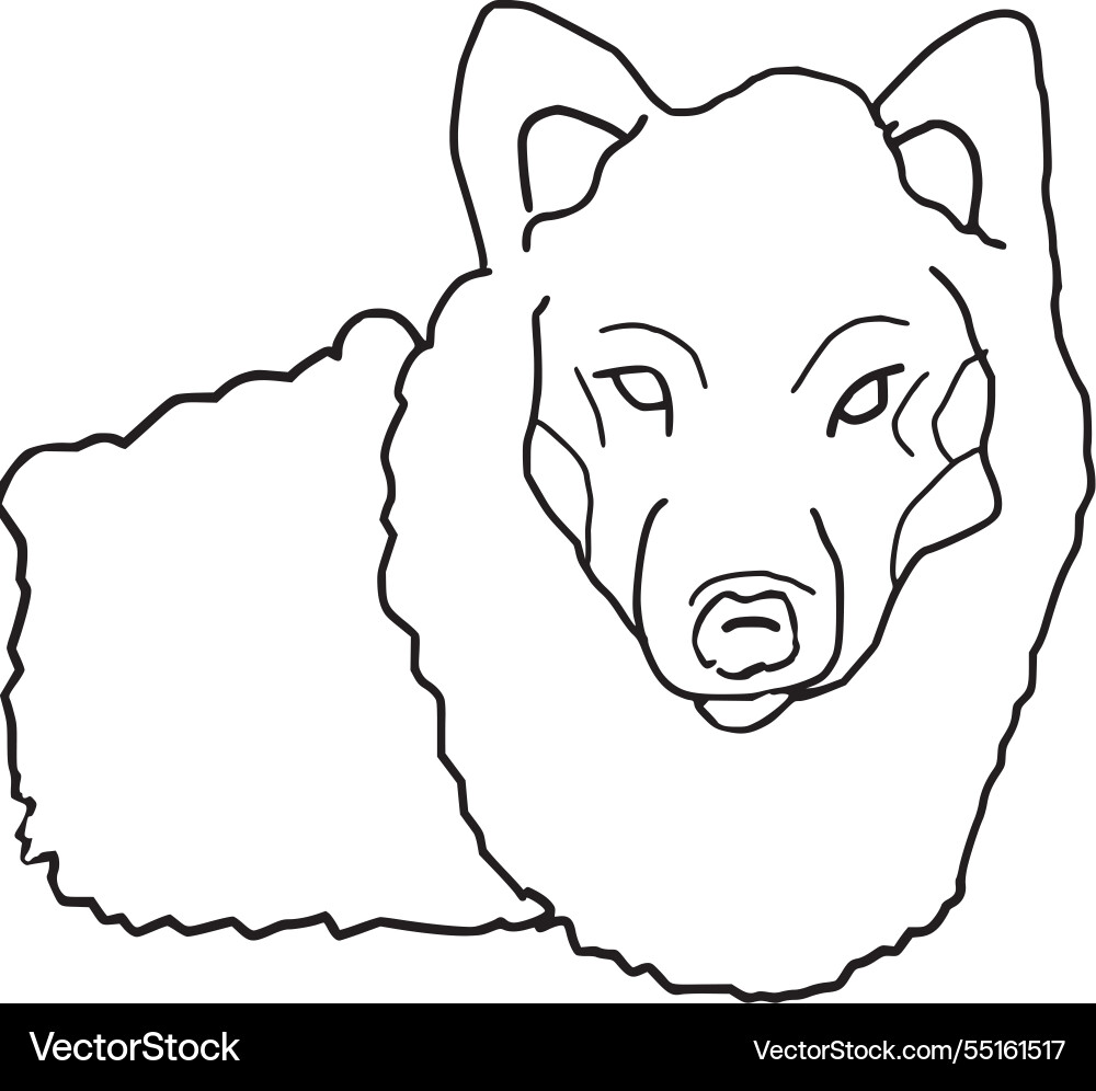 Wolf Royalty Free Vector Image - VectorStock
