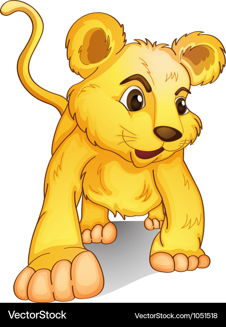 Cub on white Royalty Free Vector Image - VectorStock
