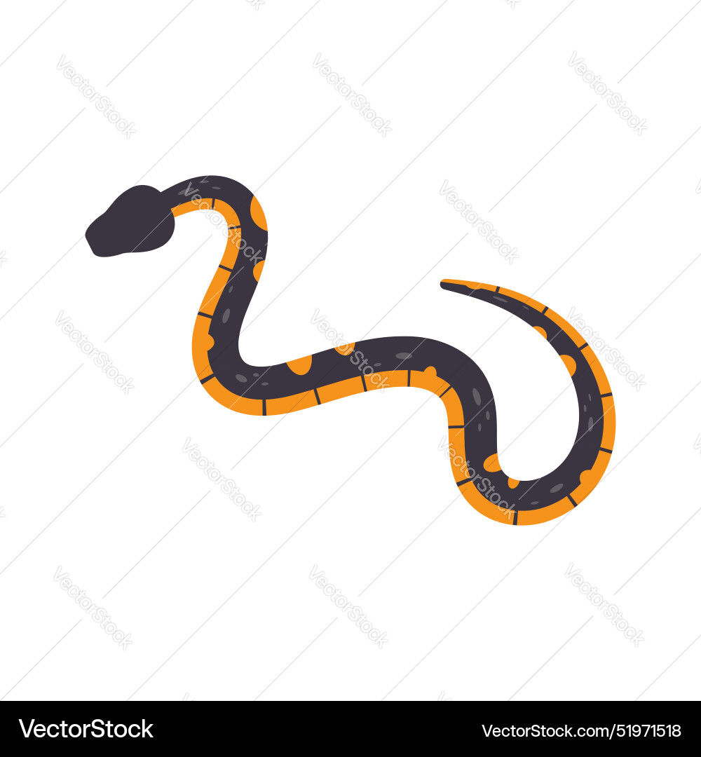 World snake day design collection Royalty Free Vector Image