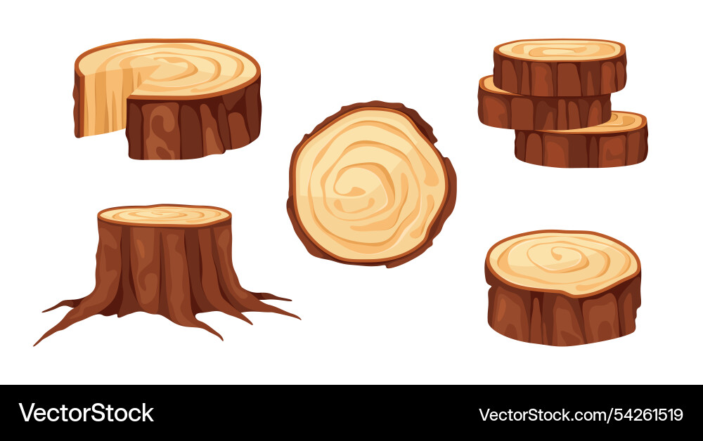 Carpentry tree wood materials woodworking Vector Image