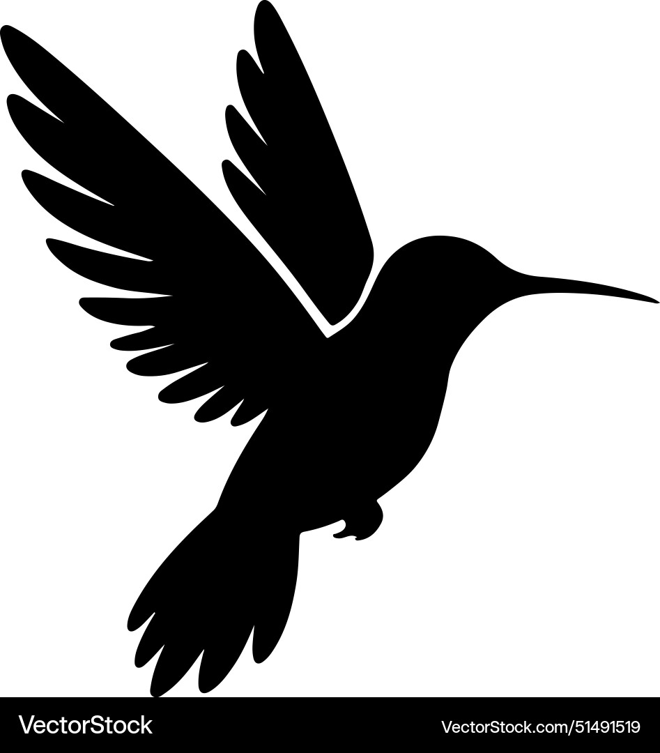 Flying hummingbirds silhouette isolated on white Vector Image