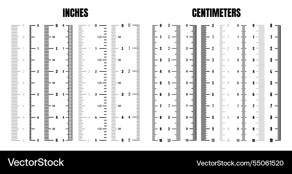 Vertical centimeter and inch scale for measuring Vector Image