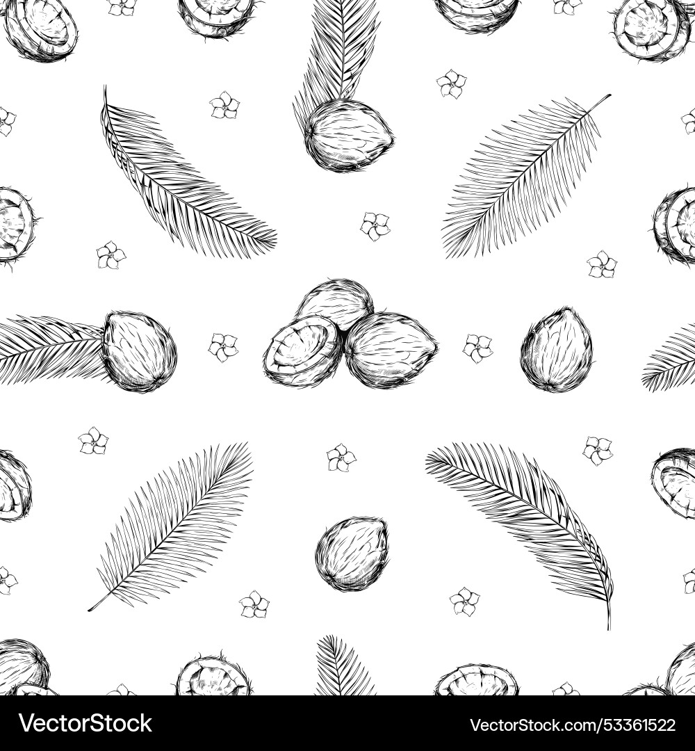 Coconut pattern coco beach tropical leaf hand Vector Image
