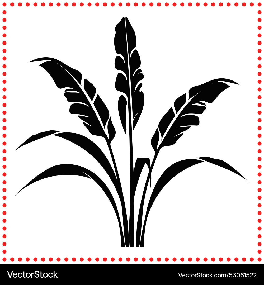 From root to canopy understanding the life cycle Vector Image