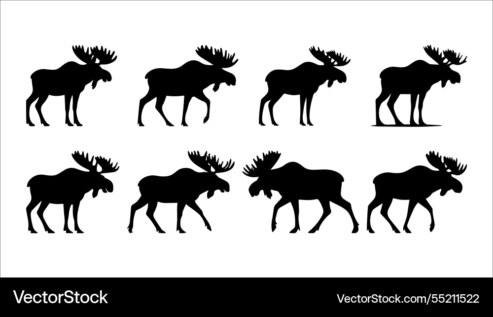 Animal Mating Vector Images (over 720)