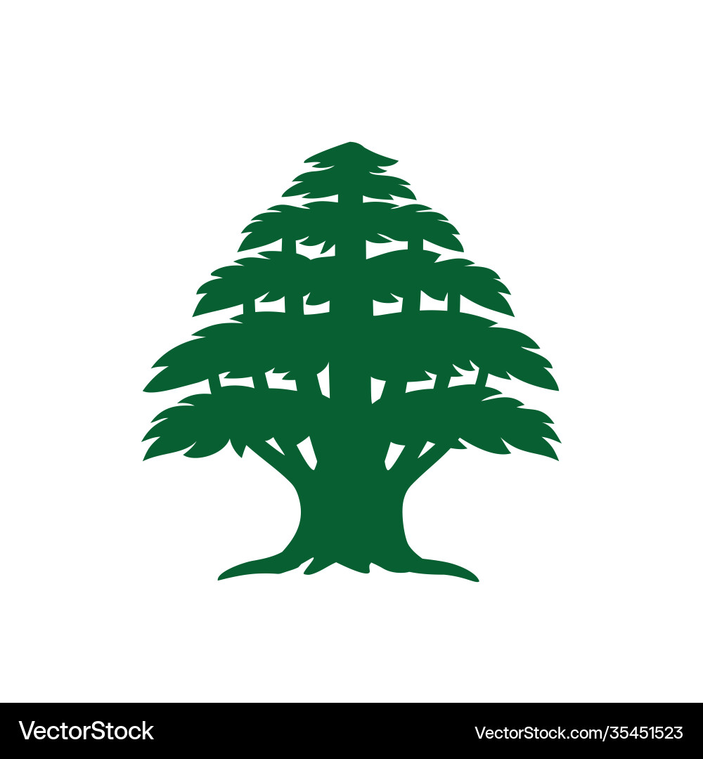 Abstract cedar tree Royalty Free Vector Image - VectorStock