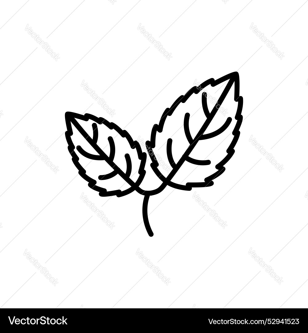Mint icon set peppermint leaf symbol vegan leaves Vector Image