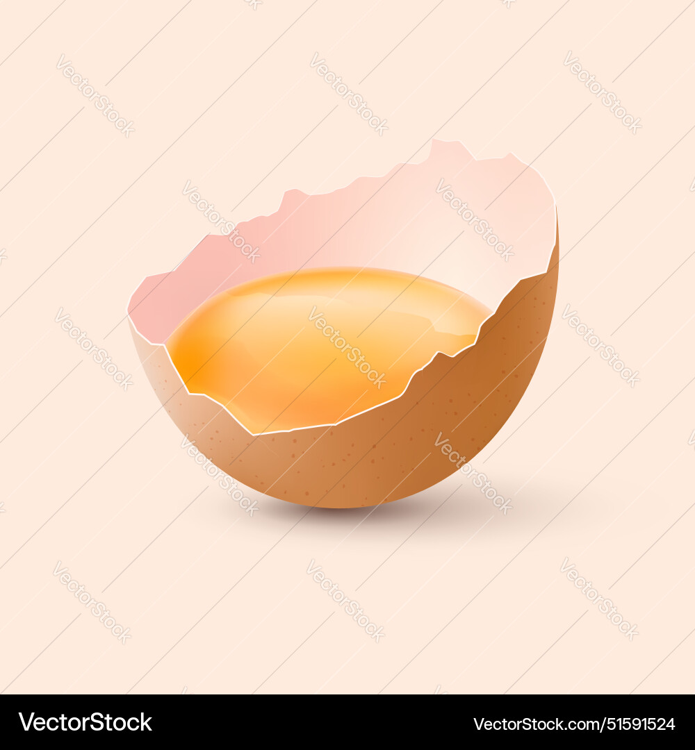 Chicken egg Royalty Free Vector Image - VectorStock