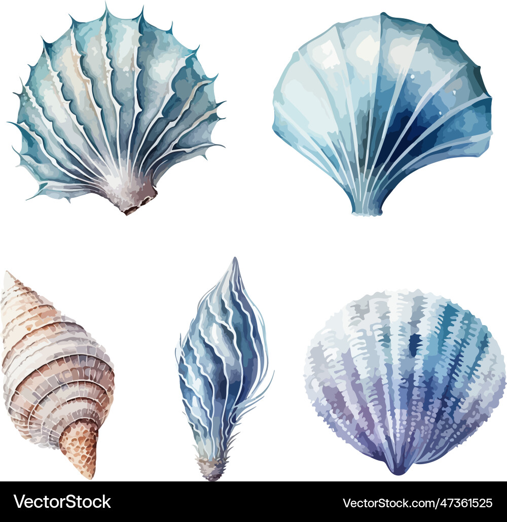 Sea shell clipart isolated Royalty Free Vector Image
