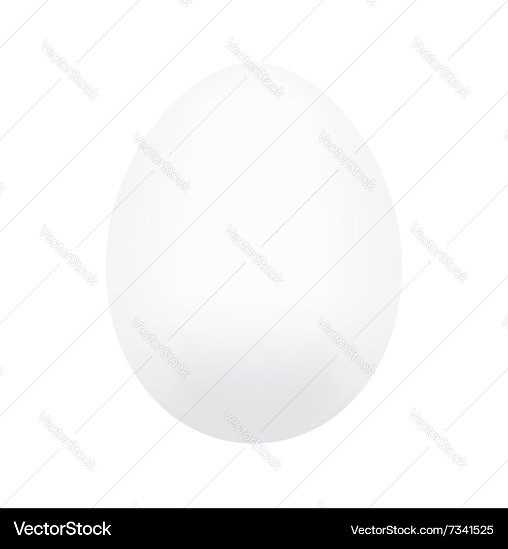 White egg Royalty Free Vector Image - VectorStock