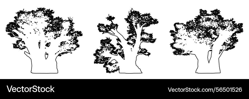 Baobab trees as a black line drawing silhouette Vector Image