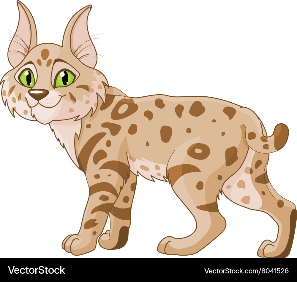 Bobcat Royalty Free Vector Image - VectorStock