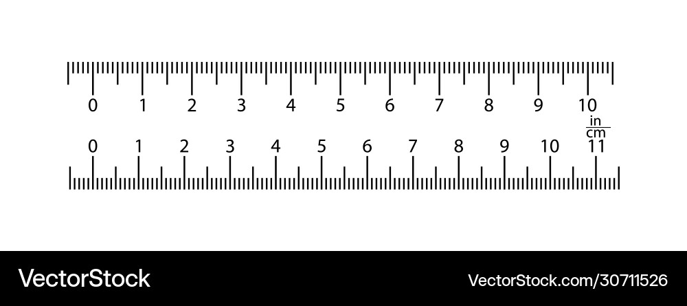 Detailed 11-Inch Ruler Royalty Free Vector Image
