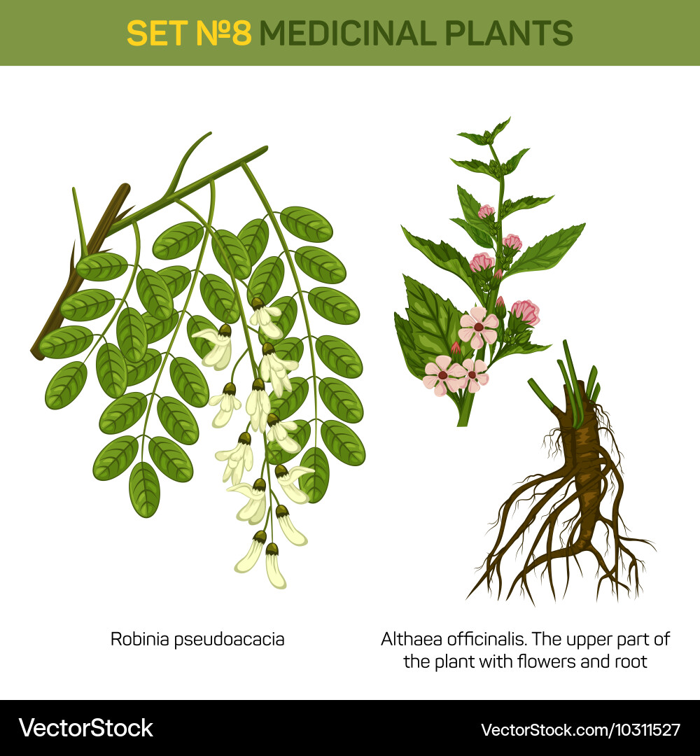 Marshmallow Flower Vector Images (over 450)