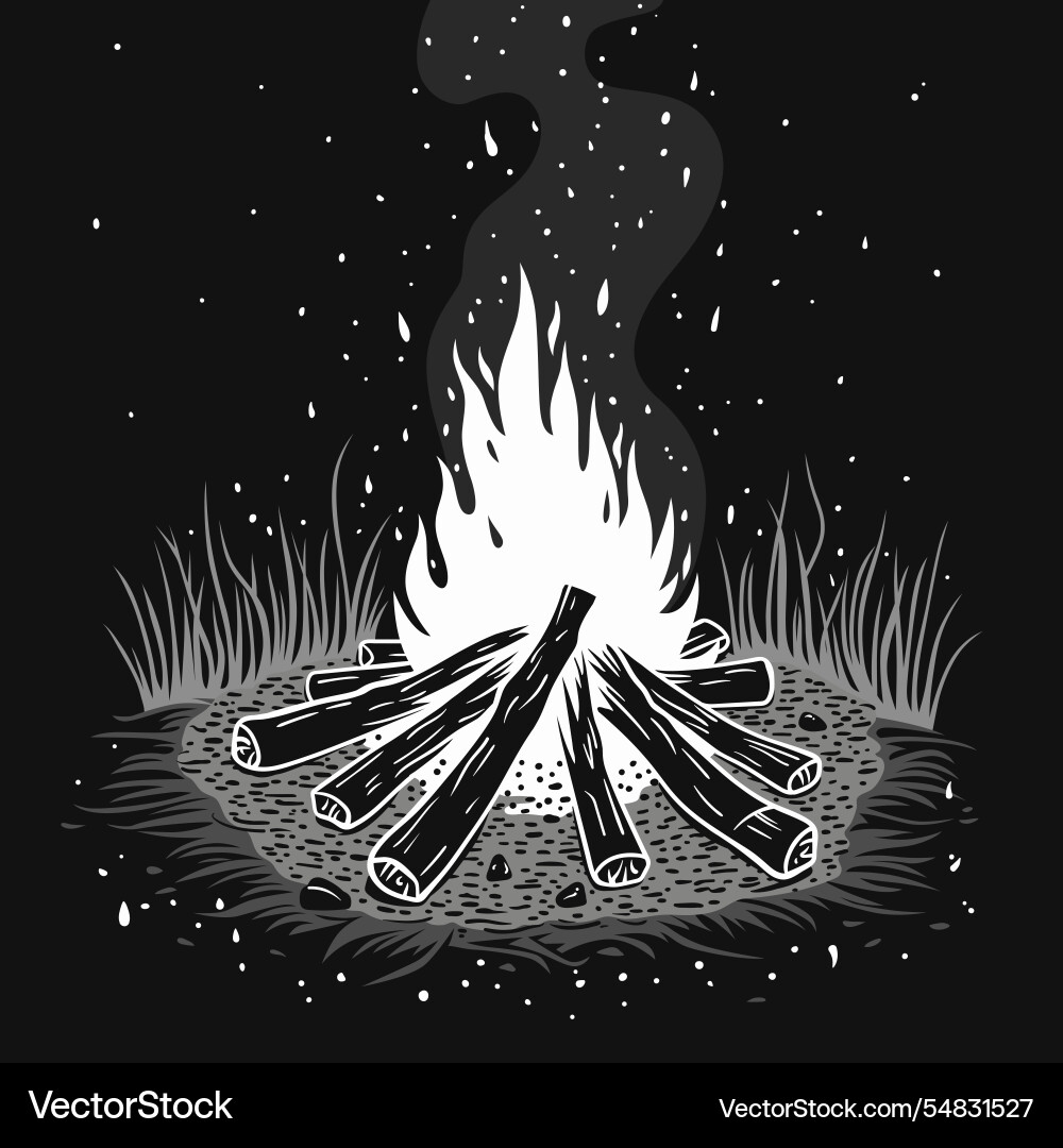 Dramatic black and white of a roaring campfire Vector Image