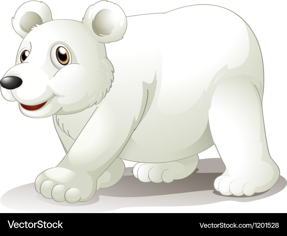A big white bear Royalty Free Vector Image - VectorStock