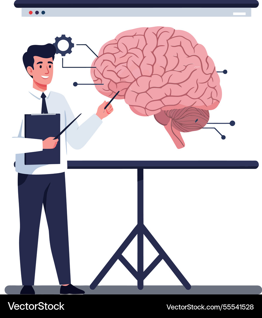 Professional presenter explaining brain structure Vector Image